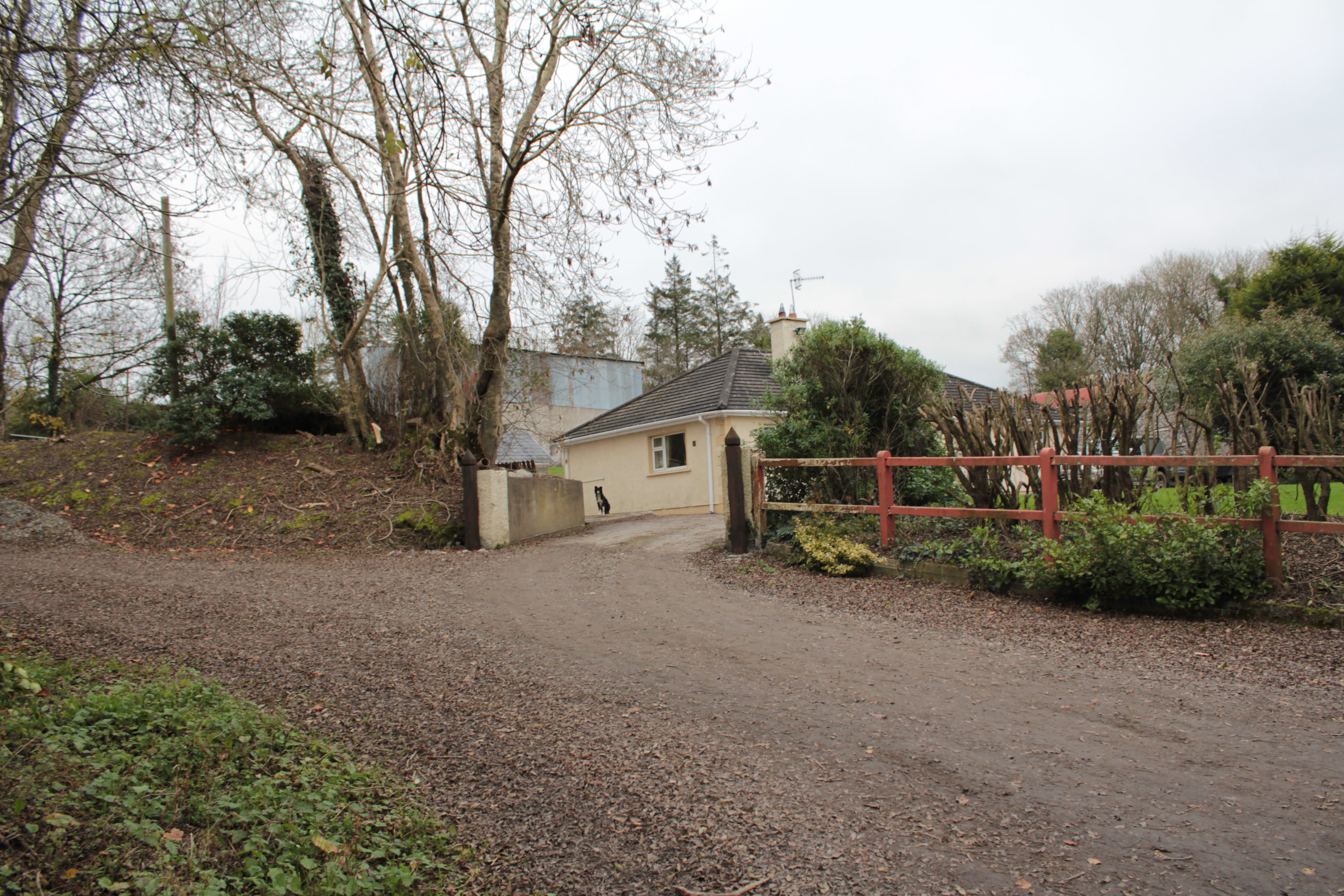 On the Trail of the Crossbarry Ambush Landscape – Landscapes of Revolution